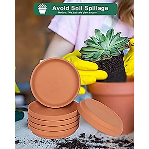 6 Inch Middle Terracotta Pot Plant Saucer - 6pcs Middle Round Plant Pot Saucers, Middle Clay Plant Tray Perfect for 5 Inch 5.5 Inch 6 Inch Flower Pot with Drainage Hole and Great for Indoor or Outdoor