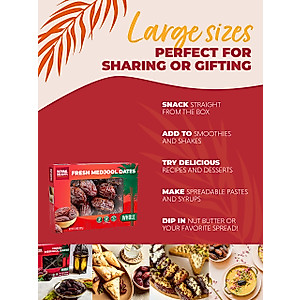 Natural Delights Dates – Large & Plump, Non-GMO Verified, Good Source of Fiber, Naturally Sweet Fruit Snack, Perfect for On-the-Go - Medjool Dates Whole, 2 lb Box