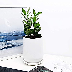 POTEY White Planter Pots for Plants Indoor - 5.3 Inch Glazed Ceramic Plant Pot with Drainage Hole & Saucer for Plants Home Decor 050301, Plants NOT Included