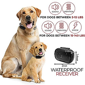 Extra Small Size Dog Training and Behavior Collar with Remote for Small Dogs 5-15lbs and Puppies with Shock - Waterproof & 1000 Ft Range