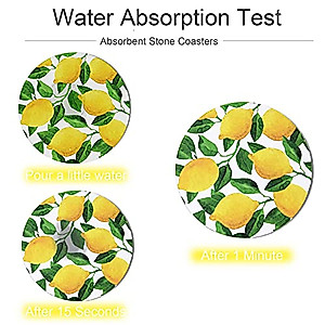 Drink Coasters Set of 6 with Holder, Lemon Absorbent Ceramic Coasters for Wooden Table, Rustic Coasters Cork Base New Home Decor House Warming Gift