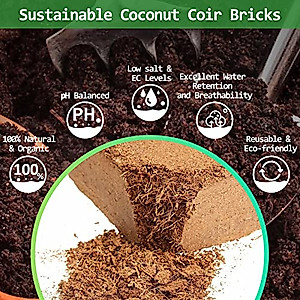 Riare 12pcs Organic Coco Coir Bricks Soil Blocks- 100% Natural Compressed Coco Peat Brick Coconut Fiber Substrate with Low EC& pH Balance, High Expansion Coco Coir Pith Coconut Husk for Garden