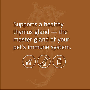 Standard Process VF Thymex for Pets - Cat & Dog Immune System Support Supplement - Thymus Supplement to Aid Canine & Feline Immune Health - Supplement with Vitamin C - 90 Tablets