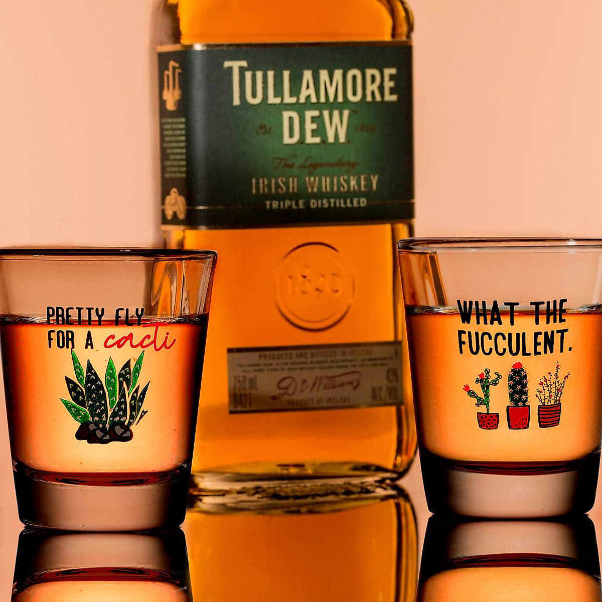 4 Pieces Plant Succulent Cactus Shot Glasses Plant Lover Wine Glass Succulent Cactus Present Mug Christmas Funny Clear Mug Glass for Women Girls, 4 Styles