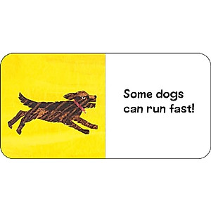 World of Eric Carle, My First Library Animal Board Book Block 12-Book Set - PI Kids