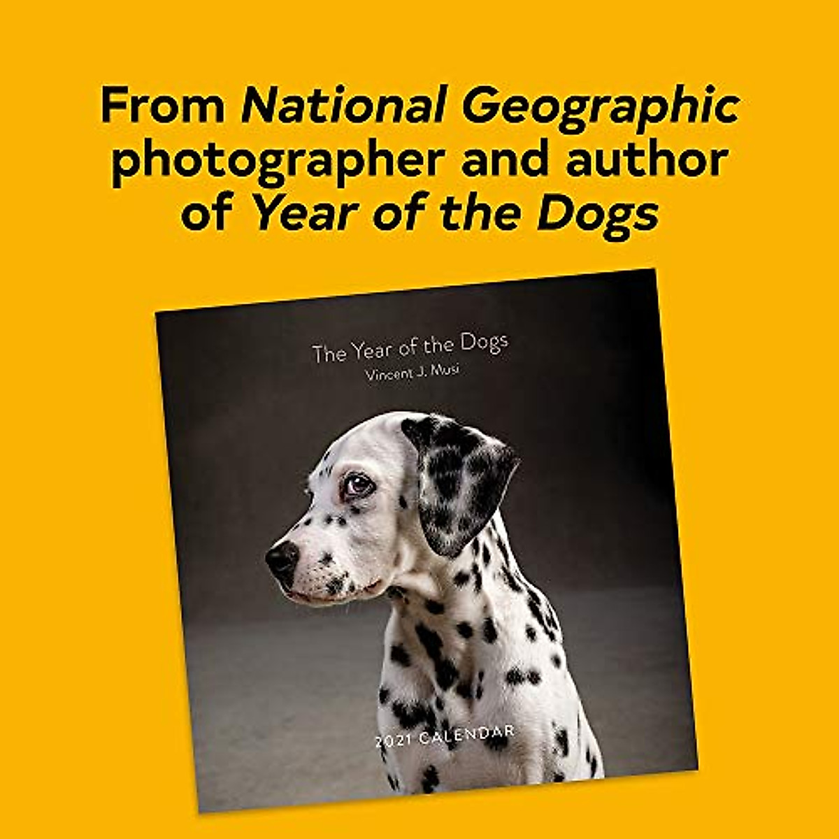 The Year of the Dogs 2021 Wall Calendar: (Dog Portrait 12-Month Calendar, Dog Lovers Photography Monthly Calendar)