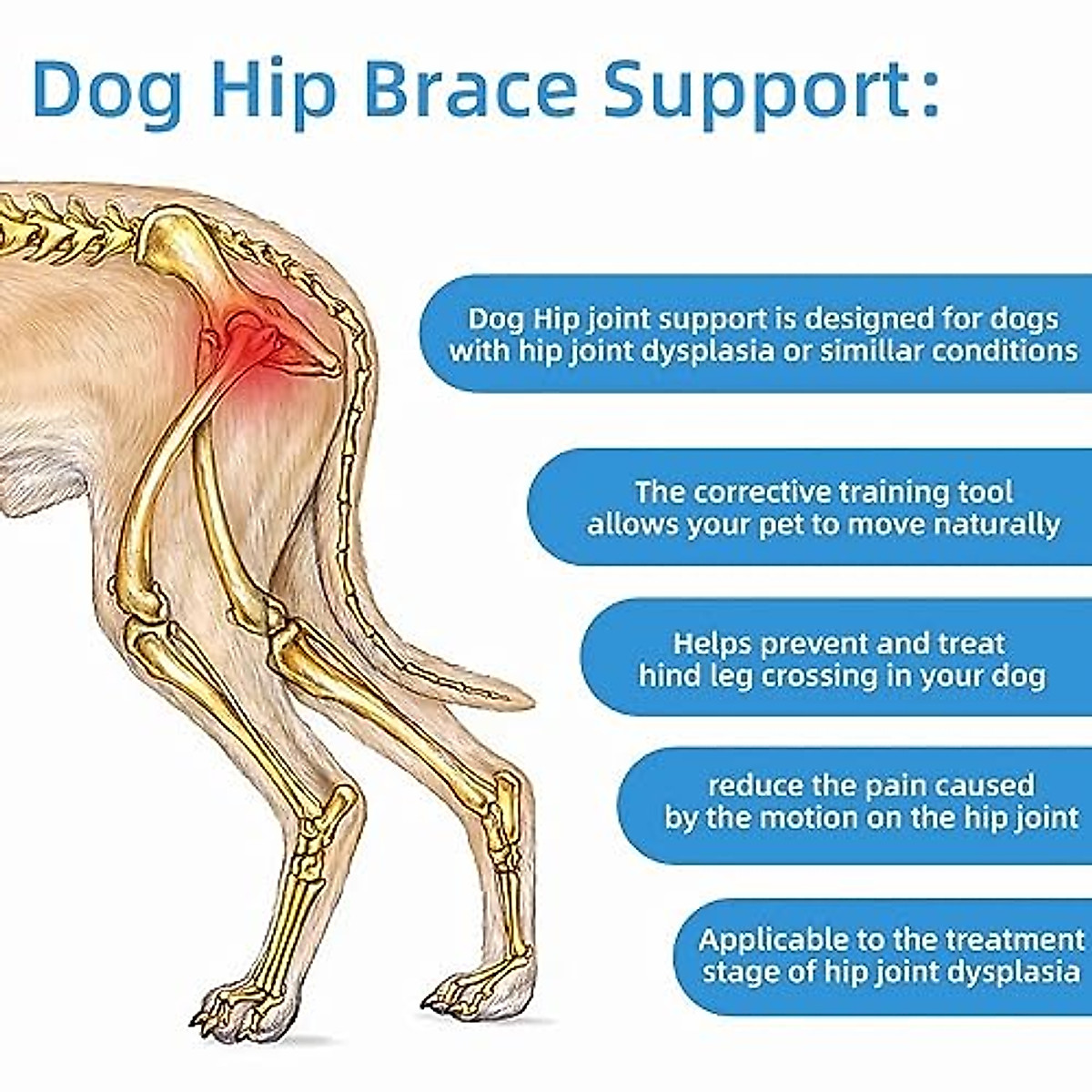 Adjustable Luxating Patella Brace for Dogs-Comfortable Knee Support for Joint Pain Relief,Suitable for Small,Medium,and Large Dogs（M）