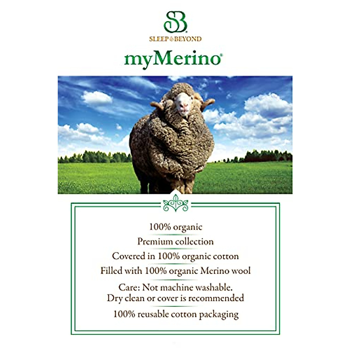 Sleep & Beyond 76 by 80-Inch Organic Merino Wool Mattress Topper, King, Ivory