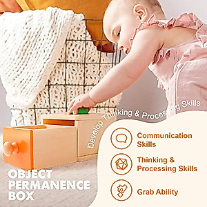 Tiny Land Montessori Toys for Babies 6-12 Months-4 in 1 Wooden Learning Educational Toy Set Includes Teething Toy, Rainmaker Baby Toy, Flash Card and Object Permanence Box-Gift for 1 Year Old Infant