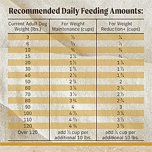 Merrick Healthy Grains Premium Adult Dry Dog Food, Wholesome And Natural Kibble With Chicken And Brown Rice - 4.0 lb. Bag