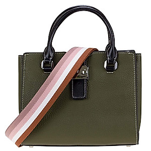 Allzedream Purse Strap Replacement Crossbody Handbag Stripe Wide Adjustable (Brown Pink, Silver Hardware)