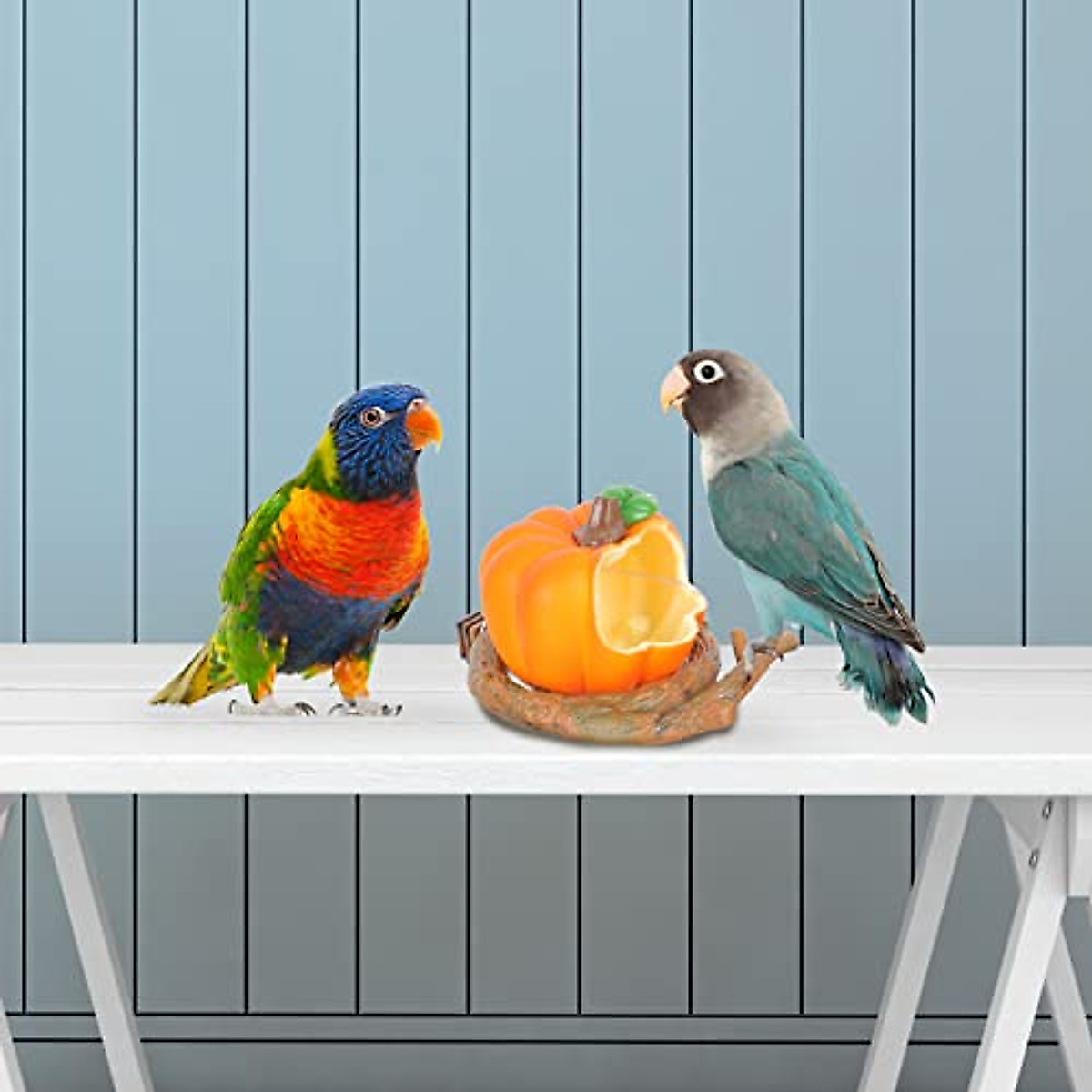 Happyyami 1PC Box Parrot Feeding Box Bird Feeding Dish Bird Bowl Bird cage Feeder Cups Parrots Food Cup Parrot Food Bowls containers for Fruit Pet Bird Feeder King Container Cup Plastic