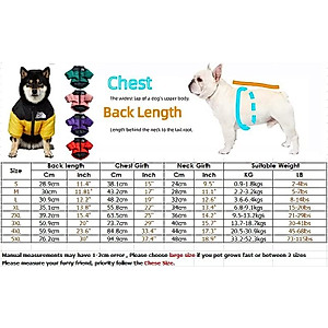 Dog Winter Coat Stylish Dog WaterproofJacket for Small Medium Dogs, Cats -Thicken Dog Coat Windbreaker Puppy Winter Clothes for Cold Weather Snowday