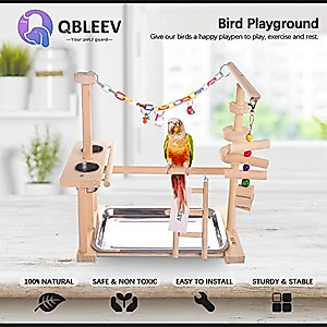 QBLEEV Parrot Playstand Bird Play Stand Cockatiel Playground Wood Perch Gym Playpen Ladder with Feeder Cups Toys Exercise Play (Include a Tray) (16" L*10" W*15" H)