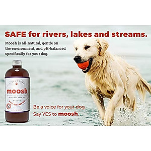 Moosh Natural Dog Shampoo – Promotes Healthy Hair, Coat and Skin. Helps Hot Spots, Dry Itchy Skin. Pet Odor Eliminator – Grooming Shampoo. Shea Butter, Argan Oil, Aloe Vera, Bentonite Clay