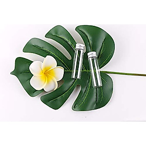 MaxMau 24 Tiny Jars with Aluminum Screw Lids 15ml Small Glass Bottles Clear Mini Vials Metal Caps Top Sample Message Bottle Jewelry Beads Herbs Storing Wedding Favors DIY Decorations