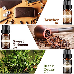 Mens Essential Oils Set - TOP 6 Gentlemen's Fragrance Oil for Diffuser, Candle & Soap Making - Sandalwood, Cologne, Black Cedar, Leather, Sweet Tobacco, Bay Rum Essential Oil Kit for Men (10mL)