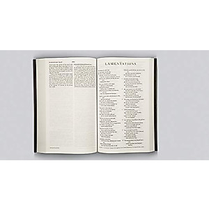 ESV Thinline Bible (TruTone, Royal Lion)