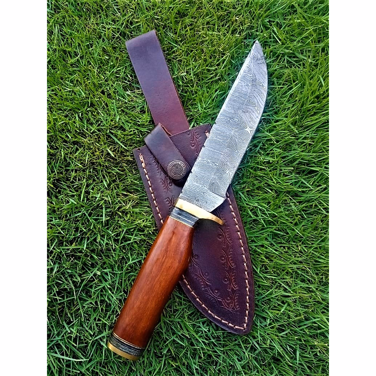 Damascus Steel Knife, Bowie Hunting Knife, Fixed Blade skinning Knife Exotic wood handle 10 inches