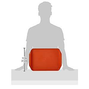 Traeger Pellet Grills BAC426 BBQ Tray Grill Accessories