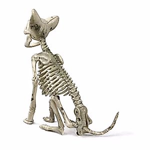 Supremask Skeleton Cat, Plastic Crouching and Sitting Cat Skeleton, Creepy Animal Bones for Halloween Decoration (Sitting)