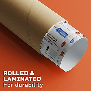 LifePro Whole Body Vibration Plate Workout Laminated Poster - Comprehensive Exercise Poster for Vibration Plate with Training Suggestions & Detailed Instructions Workout Chart