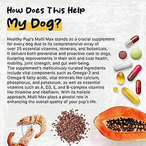 Dog Multivitamin Supplement - 120 Soft Chew Dog Vitamins and Supplements with Omega, Probiotics, Glucosamine, and More - for Small, Large, and Senior Dogs