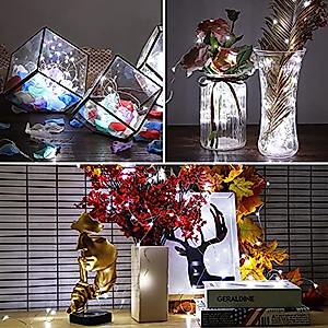 Ehome Fairy String Lights, 12 Pack Fairy Lights Battery Operated, 7.2ft 20LED Christmas Lights Silver Coated Copper Wire Lights Firefly Lights Moon Lights for Party Christmas Decorations White