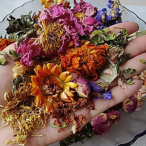 BUSOIYOU Natural Floral and Herbal Hamster Cage Decoration Supplies - Habitat Decoration for Hamsters, Gerbils, Degus or Other Small Pets (Flowers and Plants)