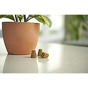 Osmocote PotShots: Premeasured House Plant Food, Feed for up to 6 Months, 25 Nuggets