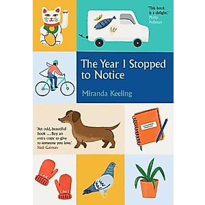 The Year I Stopped to Notice