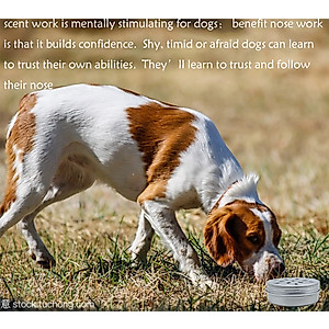 CHENGXINWENHUA Dog skent Work tins 6 Pack，Dog Scent Training Box，Dog Nose Work containers (drip-c)