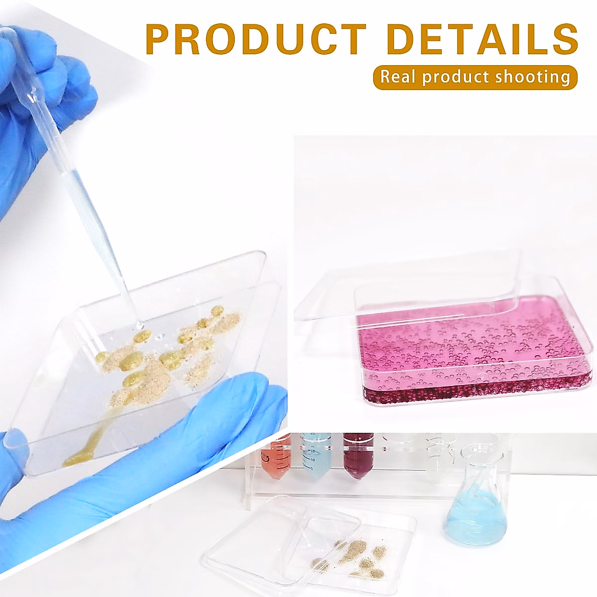 BIPEE 10 Pack Sterile Thick Plastic Petri Dishes with Lid，10cm x 10cm Square Petri Dish for Lab Science Experiment