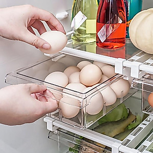 BLCEE Pet Drawer-style Refrigerator Storage Box - Large Capacity Sealed Fresh-keeping Box, Transparent Kitchen Storage Bin, Egg Carton