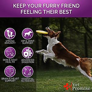 (2 Pack) Dog Multivitamin Chewable with Glucosamine - Dog Vitamins and Supplements - Senior & Puppy Multivitamin for Dogs - Pet Joint Support Health - Immunity - Mobility - Energy - 240 Chews