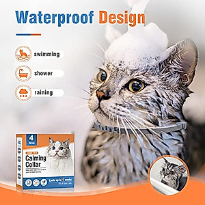 4 Packs Cat Calming Collar for Cats Pheromone Collar Efficient Relieve Reduce Anxiety Stress Pheromones Calm Relaxing Comfortable Collars Long-Lasting 30 Days Adjustable Breakaway Design Gray
