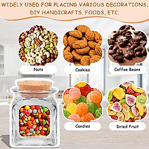 100 pcs Reusable Mason Jar Bags,Large Food Storage Ziplock Bags,5.5" X 7.8" Cute Plastic Zipper Leakproof Bags for Freezer Kitchen Camping Picnic Organizer