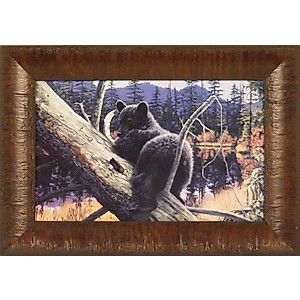 Resting Place by Liz Mitten Ryan 11x15 Bear Cub in Tree Framed Art Print Wall Décor Picture