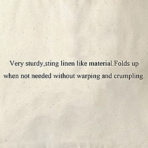 HAHIYO Canvas Clothespin Laundry Bag Hanging Storage Organizer Holds Pins Sturdy 12.2 x 10.45in Roomy Deep Easy Reach Grab for Sliding Easy Hook Clothesline Rod Not Pierce Cloth Washable No Mold 1 PCS