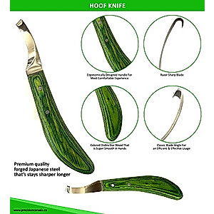 PRECISION CANADA Super Sharp Loop Blade Hoof Knife for Right Handed of Japanese Stainless Steel with Smooth Wooden Handle