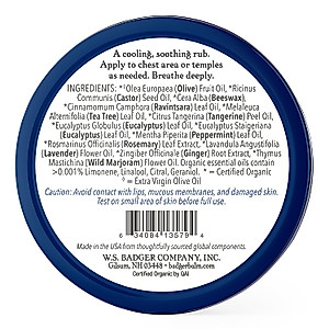 Badger Aromatic Chest Rub, Eucalyptus & Mint, 2 oz