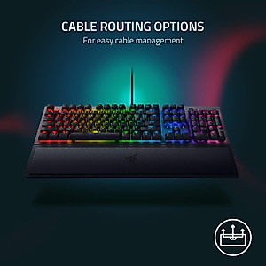 Razer BlackWidow V3 Mechanical Gaming Keyboard: Yellow Mechanical Switches - Linear & Silent - Chroma RGB Lighting - Compact Form Factor - Programmable Macro Functionality, Classic Black