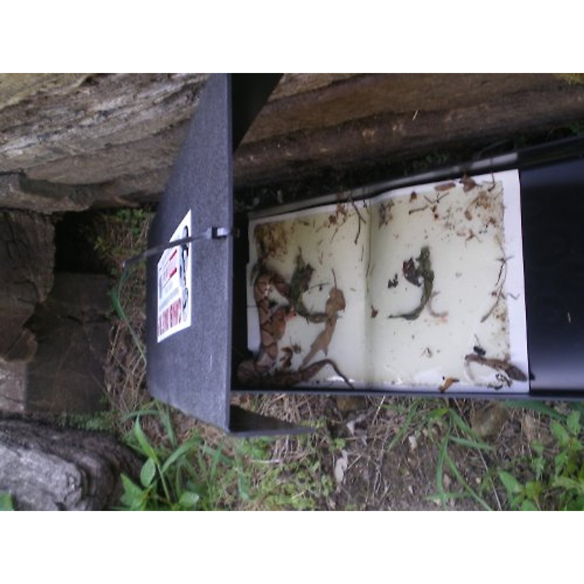 Cahaba Snake Trap Lift-Top Size 32"x10"x3"W/ 3 Large Catch Inserts