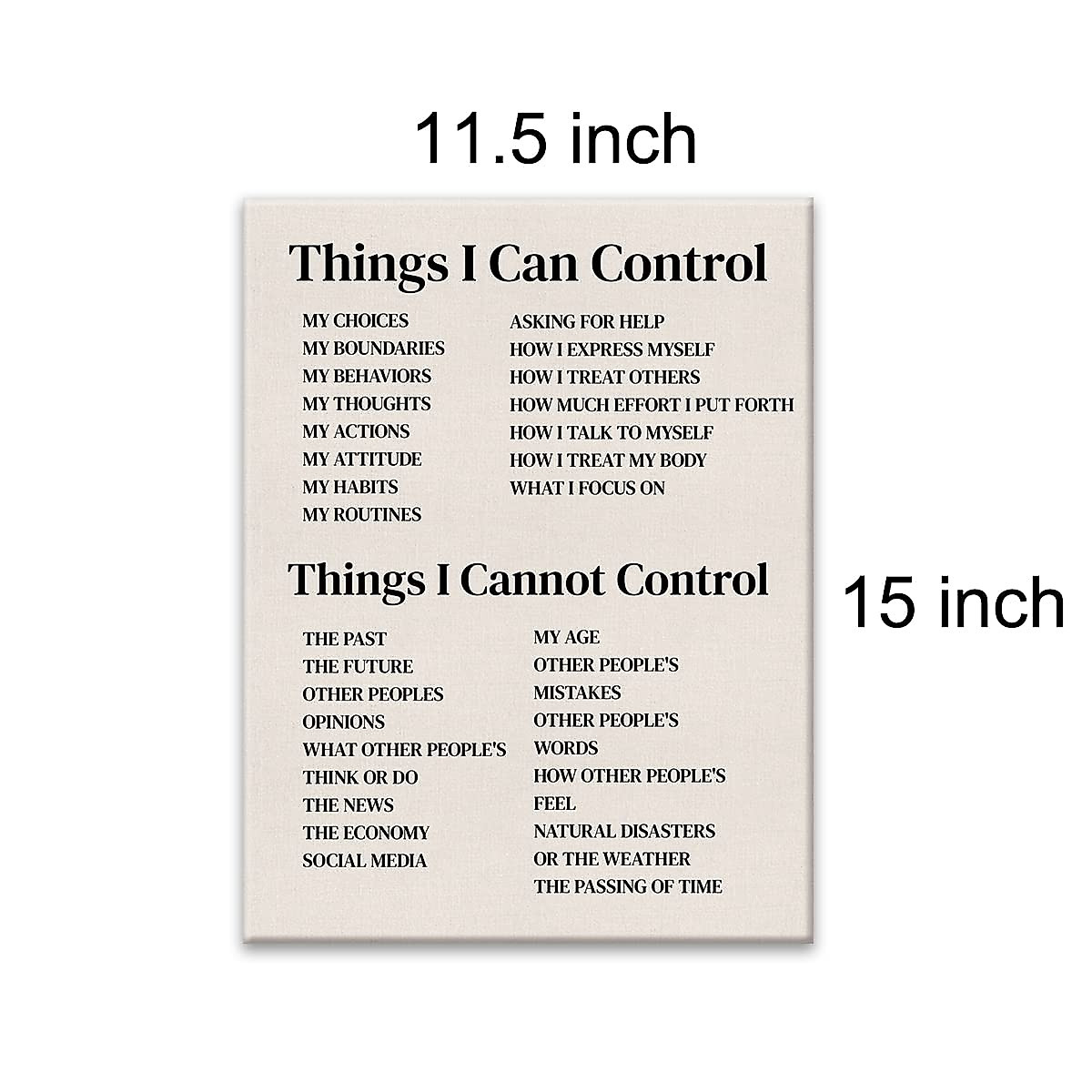 Mental Health Canvas Wall Art Poster Print Gift, Things I Can Control Painting Ready to Hang Home Therapy Office Decor (11.5" x 15")