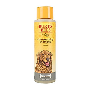 Burt's Bees for Pets Natural Skin Soothing Shampoo with Honey | Dog Shampoo for All Dogs and Puppies | Safe for Dogs with Dry and Sensitive Skin | pH Balanced for Dogs - Made in USA, 16 Ounces