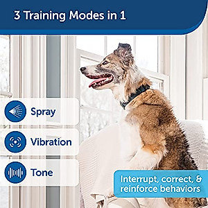 PetSafe Remote Spray Trainer, Dog Training Collar - 3 Modes: Tone, Vibration or Spray - Rechargeable & Water-Resistant – Includes Citronella & Unscented Spray Refills - 300 Yards (900 Feet) Range,Navy