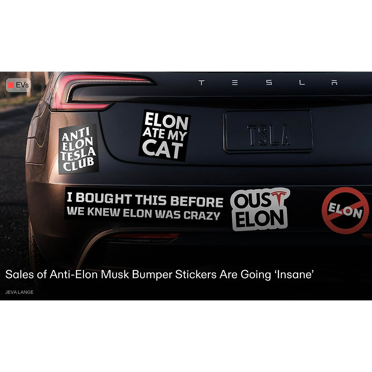 Tesla Bumper Sticker - I Bought This Before We Knew Elon was Crazy! Original Viral Sticker Tesla Owner Regret Decal Accessories Elon Musk - Funny Bumper Sticker Elon Regret! Model X Y 3 S Vinyl