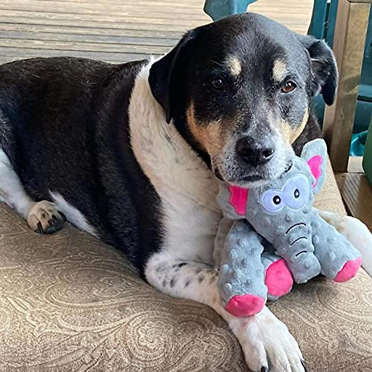 Bzonsmart Dog Toys, Squeaky Plush Dog Toy for Puppy. Small. Medium Large Dogs, Cute Soft Stuffed Toys for Teeth Cleaning and Boredom