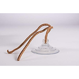 PENN-PLAX Reptology Lizard Lounger – 100% Natural Seagrass Fiber – Great for Bearded Dragons, Anoles, Geckos, and Other Reptiles – Extra Large