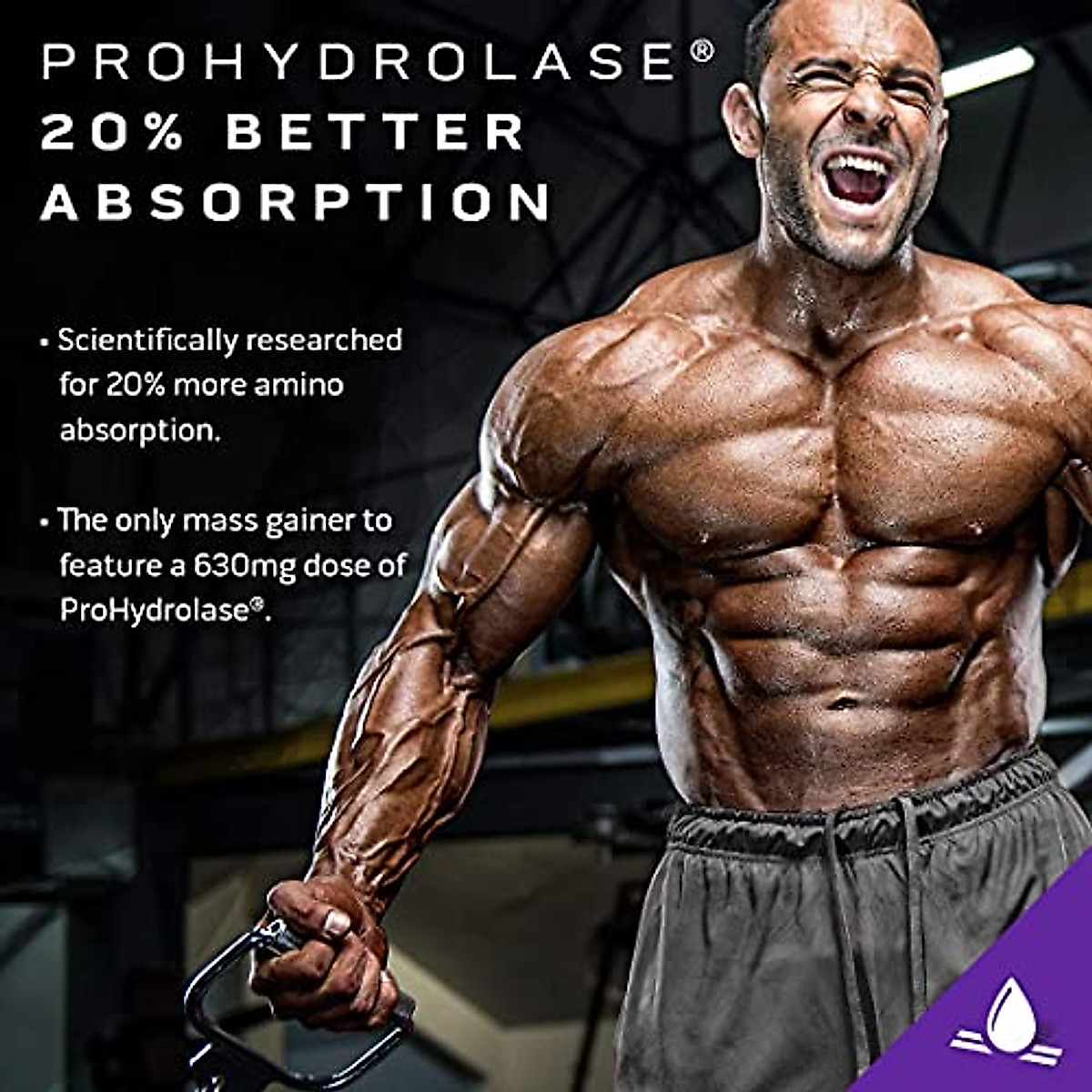 Weight Mass Gainer Protein Powder | MuscleTech Mass-Tech Elite Mass Gainer for Muscle Gain | Whey Protein Powder + Muscle Builder | Creatine Supplements | Vanilla Cake, 7 lbs